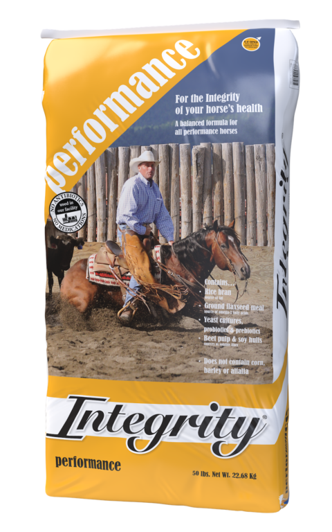 Integrity Horse Feed: Your Solution for Digestive Health & Wellness